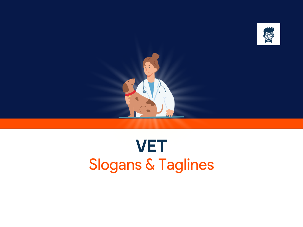 495+ Vet Slogans And Taglines Collection - BrandBoy