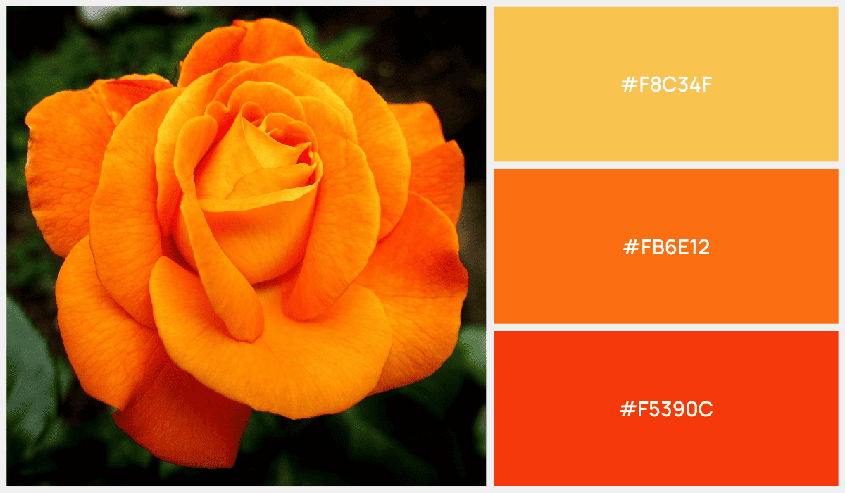 30+ Orange Color Palettes For Logo Design (Don't Miss Out) - BrandBoy