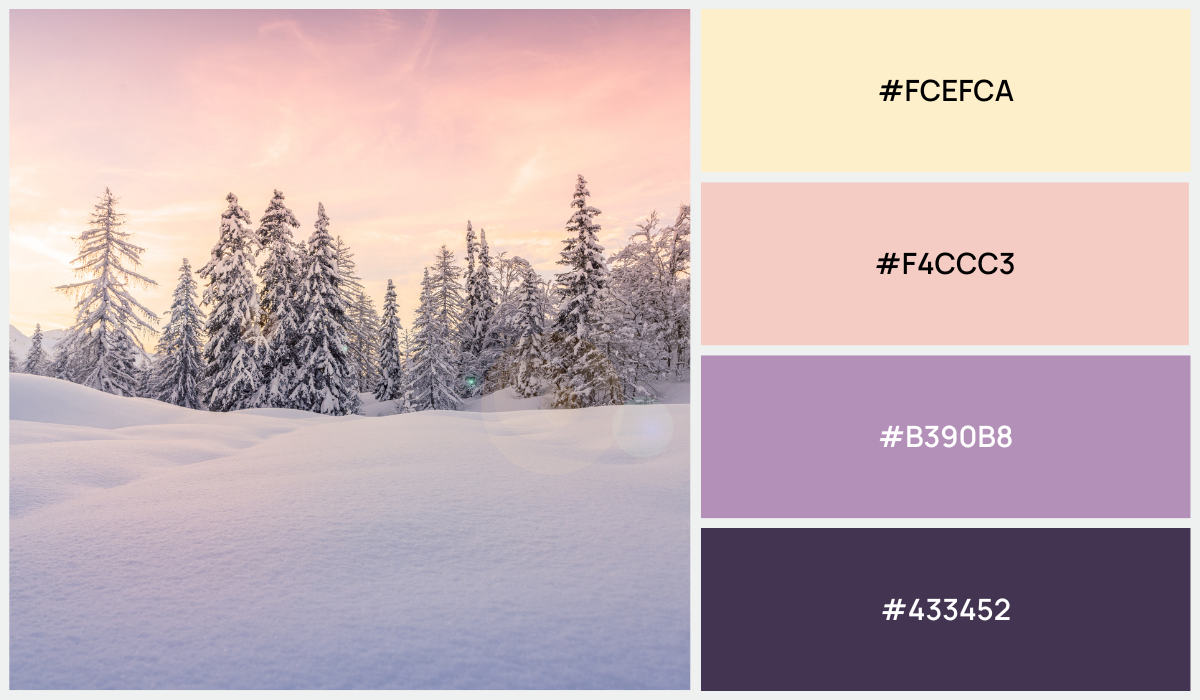 30+ Winter Color Palettes To Elevate Your Designs