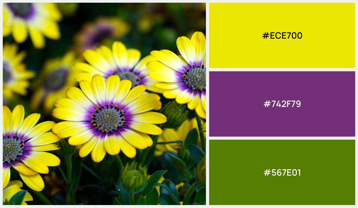 30+ Spring Color Palettes To Elevate Your Designs - BrandBoy