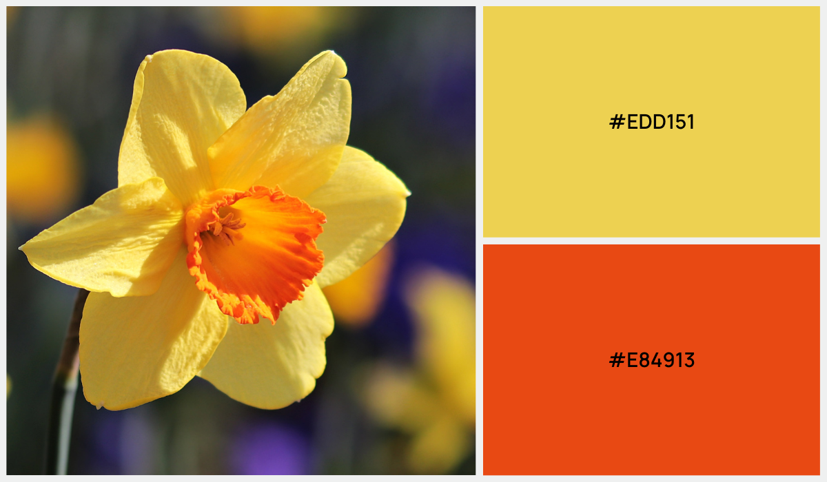 30+ Warm Color Palettes To Elevate Your Designs