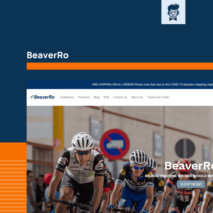 250+ eCommerce Website Design Examples to Inspire Your Online Store ...