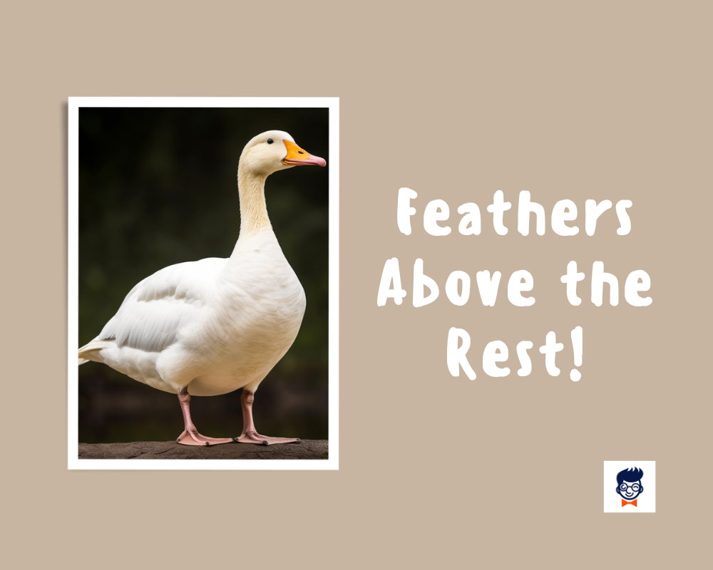 871+ Catchy AFLAC Slogans And Taglines (Generator) - BrandBoy