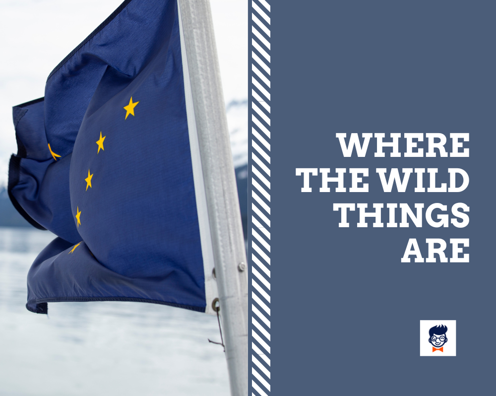 758+ Catchy Alaska Slogans And Taglines (Generator) - BrandBoy