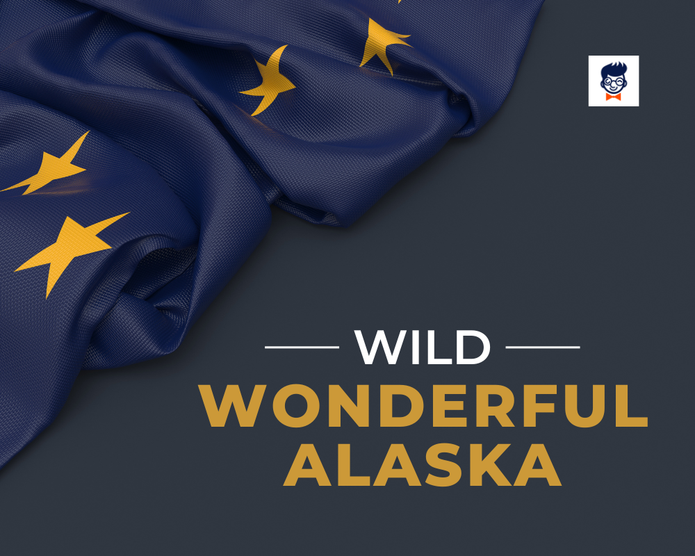 758+ Catchy Alaska Slogans And Taglines (Generator) - BrandBoy