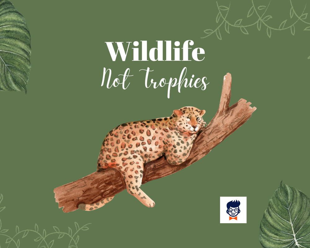 781+ Animal Slogans to Protect Wildlife - BrandBoy