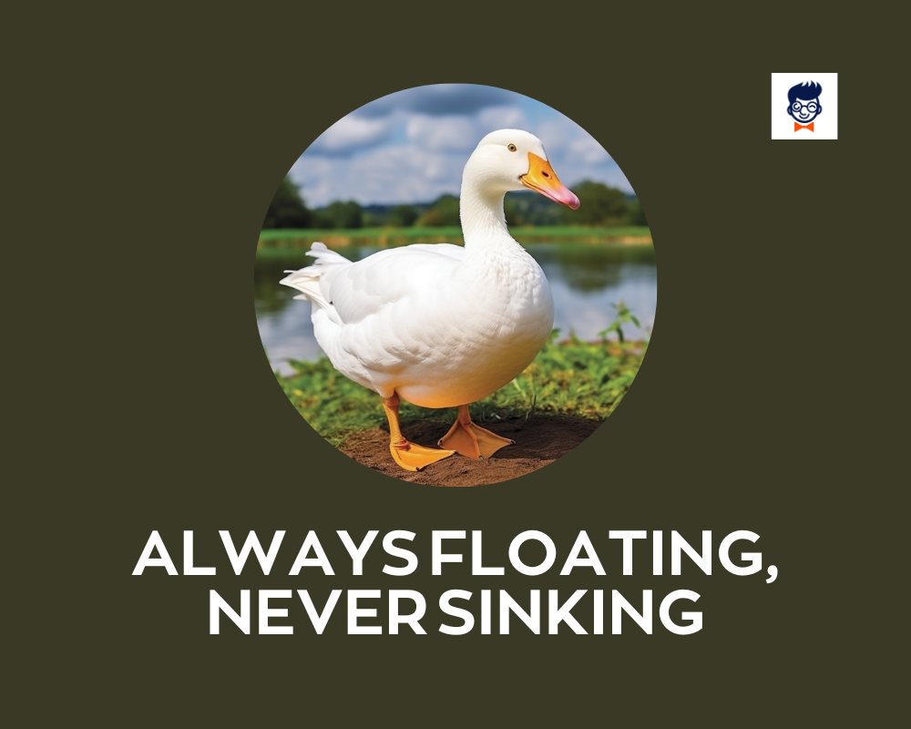 871+ Catchy AFLAC Slogans And Taglines (Generator) - BrandBoy