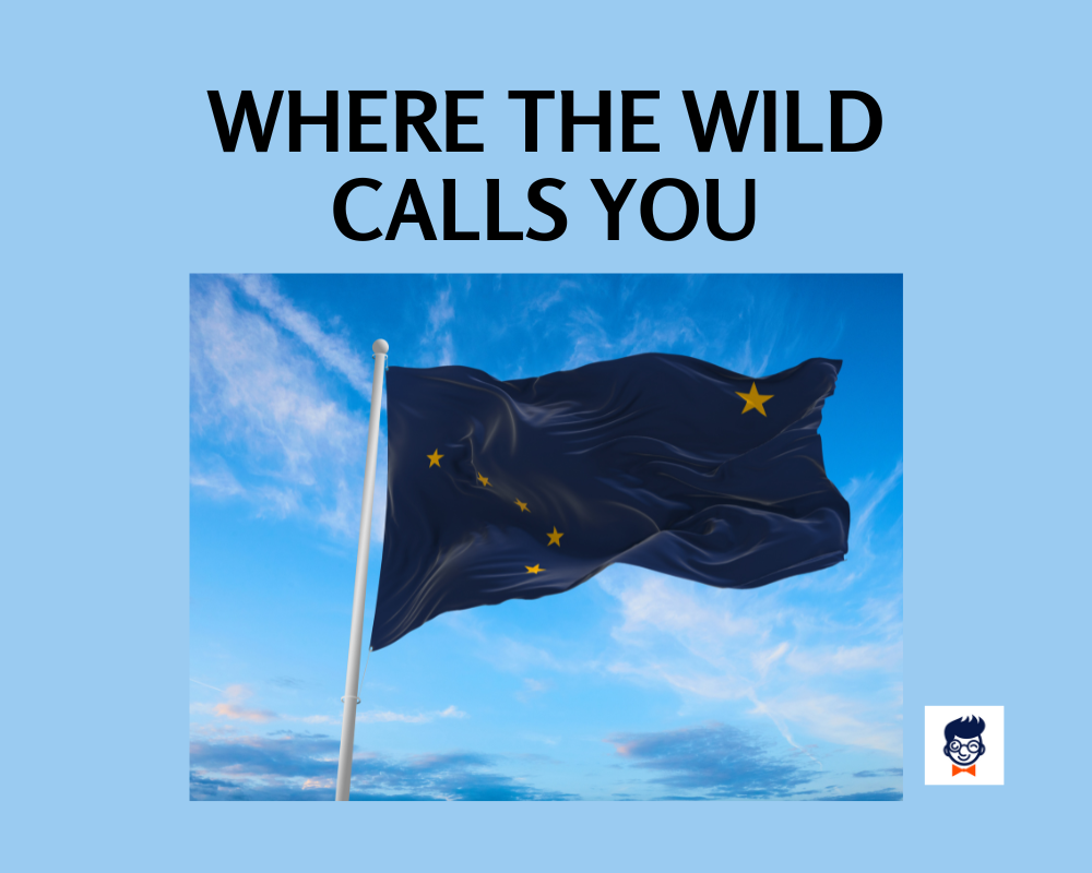 758+ Catchy Alaska Slogans And Taglines (Generator) - BrandBoy