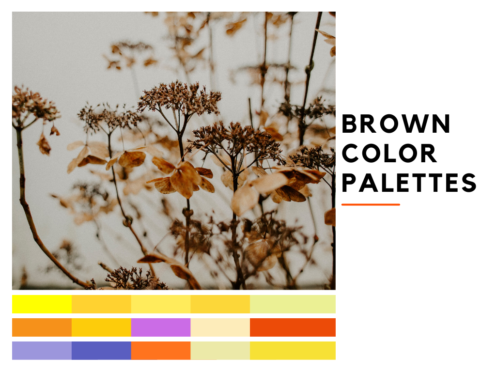 30+ Brown Color Palettes To Elevate Your Online Presence