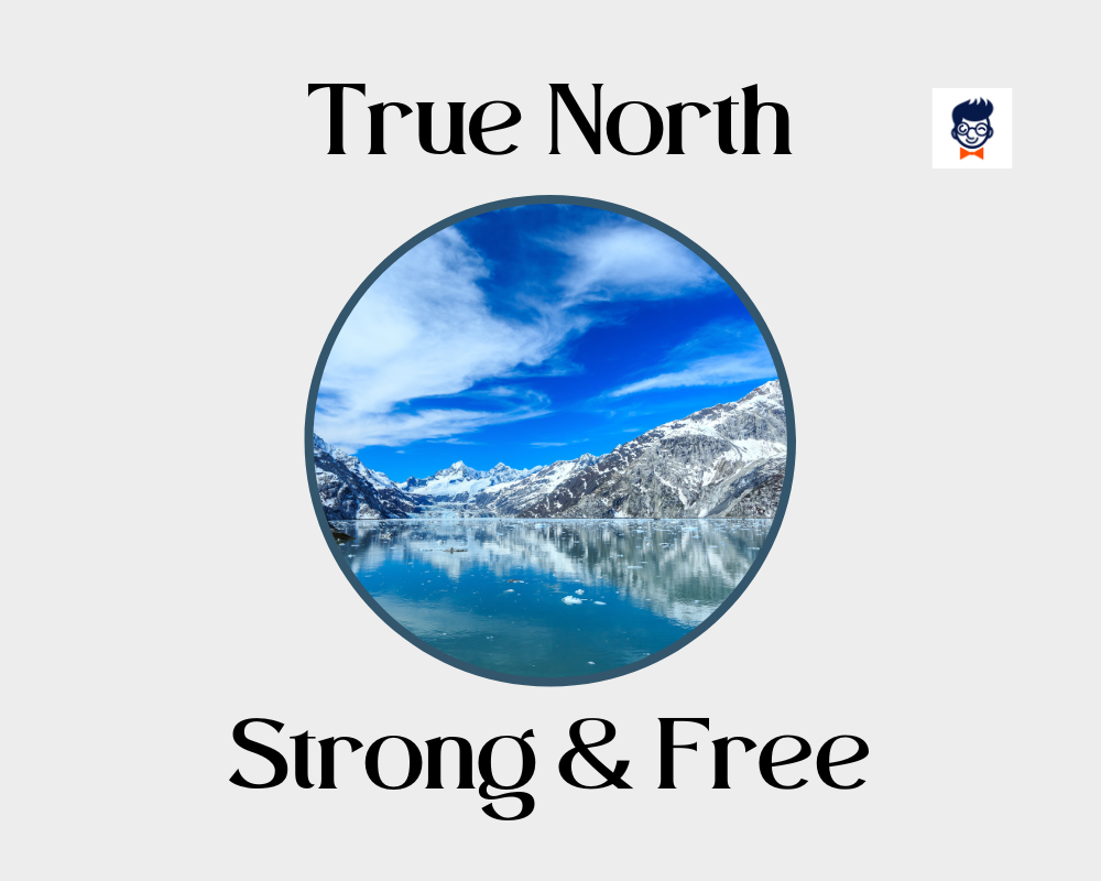 758+ Catchy Alaska Slogans And Taglines (Generator) - BrandBoy