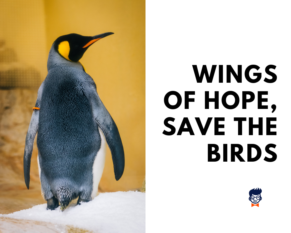 781+ Animal Slogans to Protect Wildlife - BrandBoy