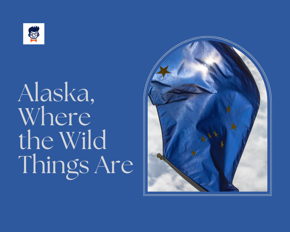 758+ Catchy Alaska Slogans And Taglines (Generator) - BrandBoy