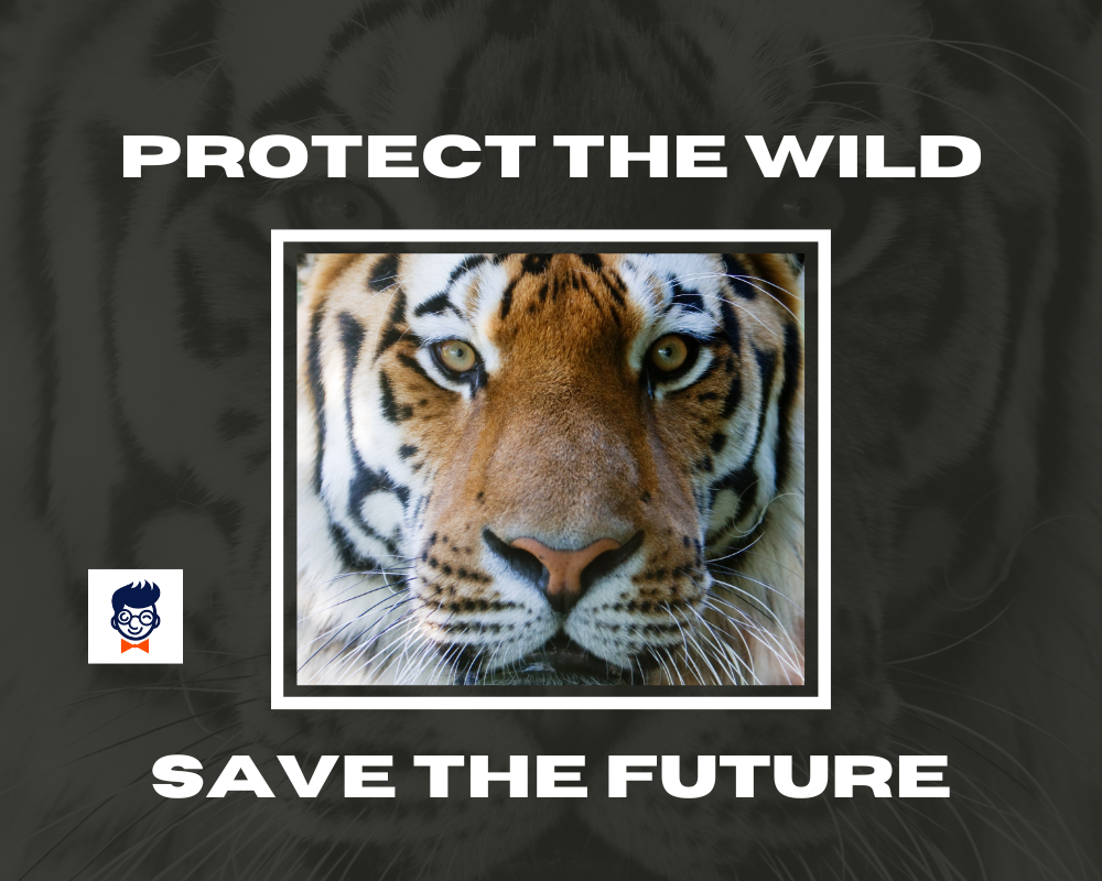 781+ Animal Slogans to Protect Wildlife - BrandBoy
