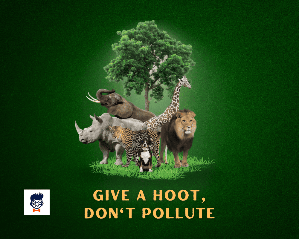 781+ Animal Slogans to Protect Wildlife - BrandBoy