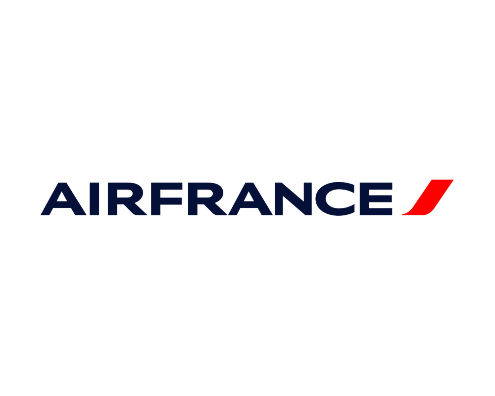 50+ Best Airline Logos That Stand Out in the Skies - BrandBoy