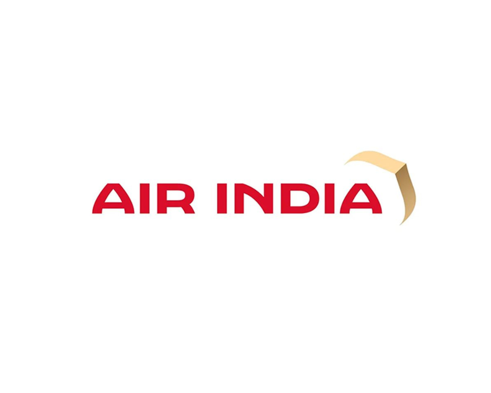 50+ Best Airline Logos That Stand Out in the Skies - BrandBoy