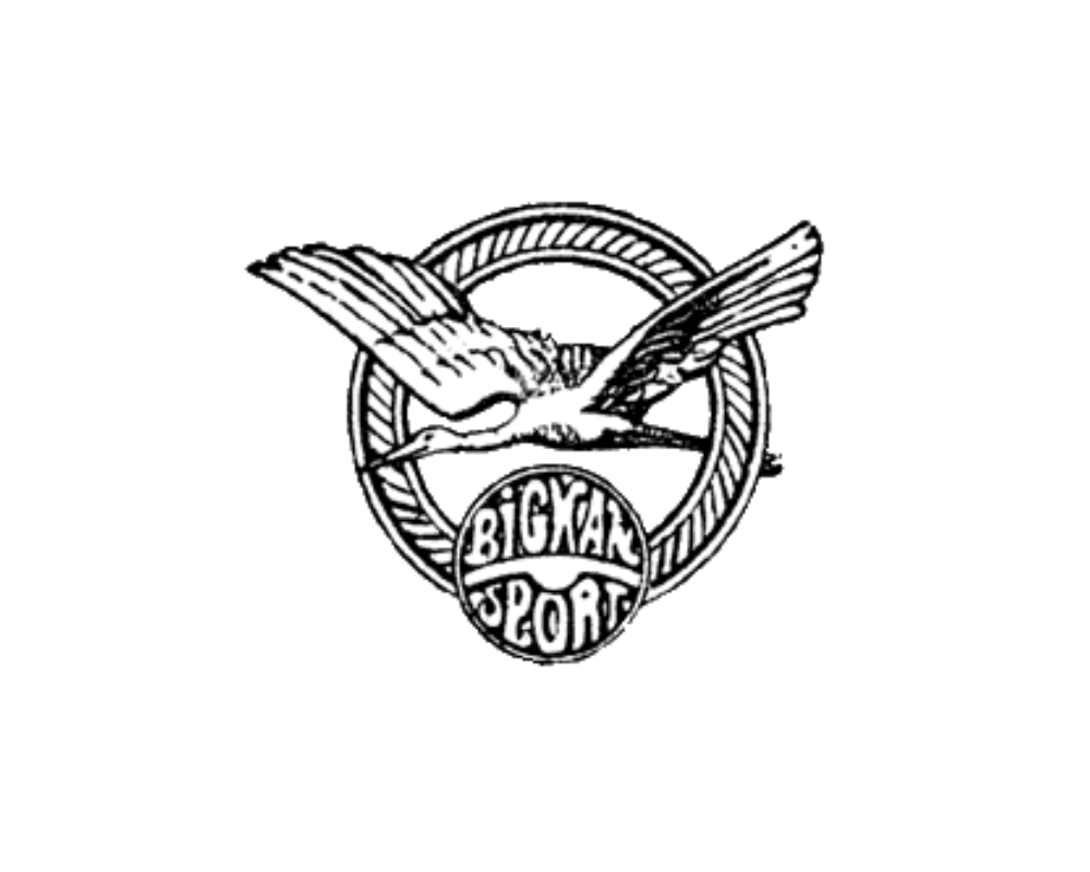 55+ Top Car Logos With Wings: The Symbolic Power - BrandBoy