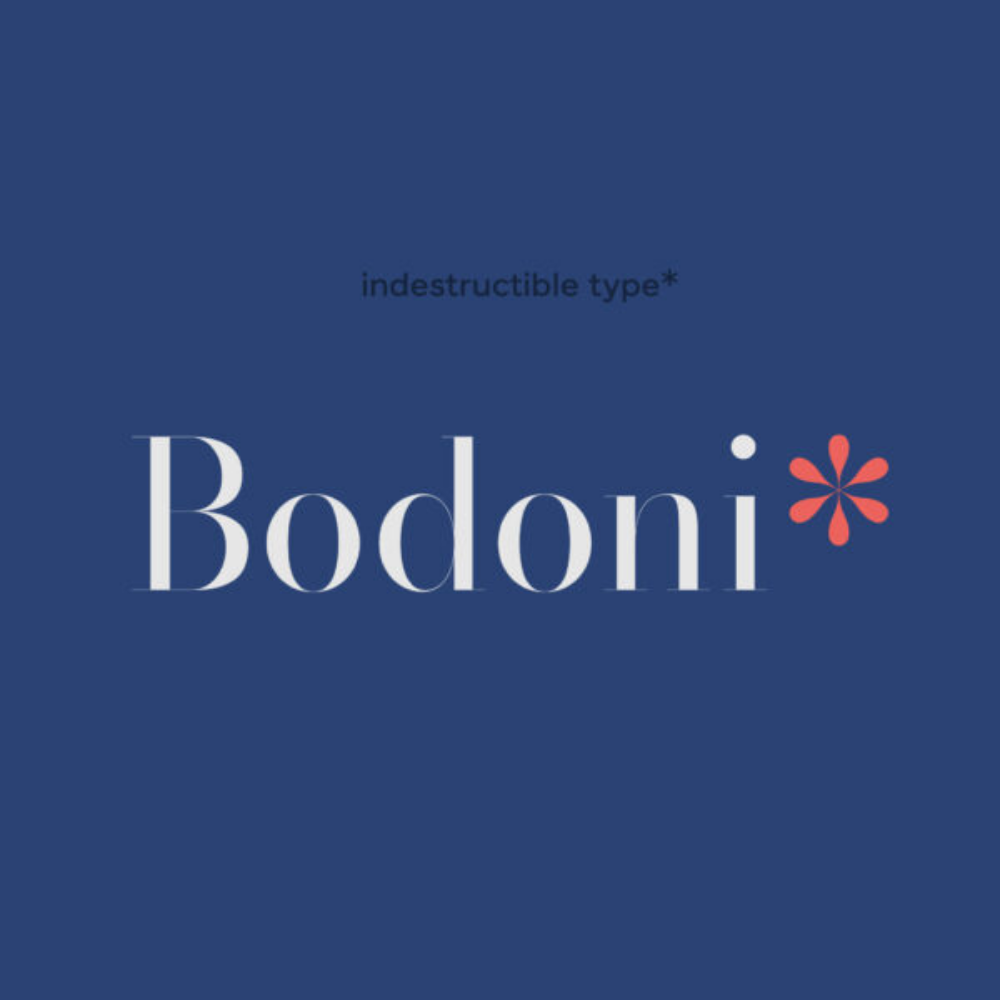 35+ Best Serif Fonts For Your Logo And Branding - BrandBoy