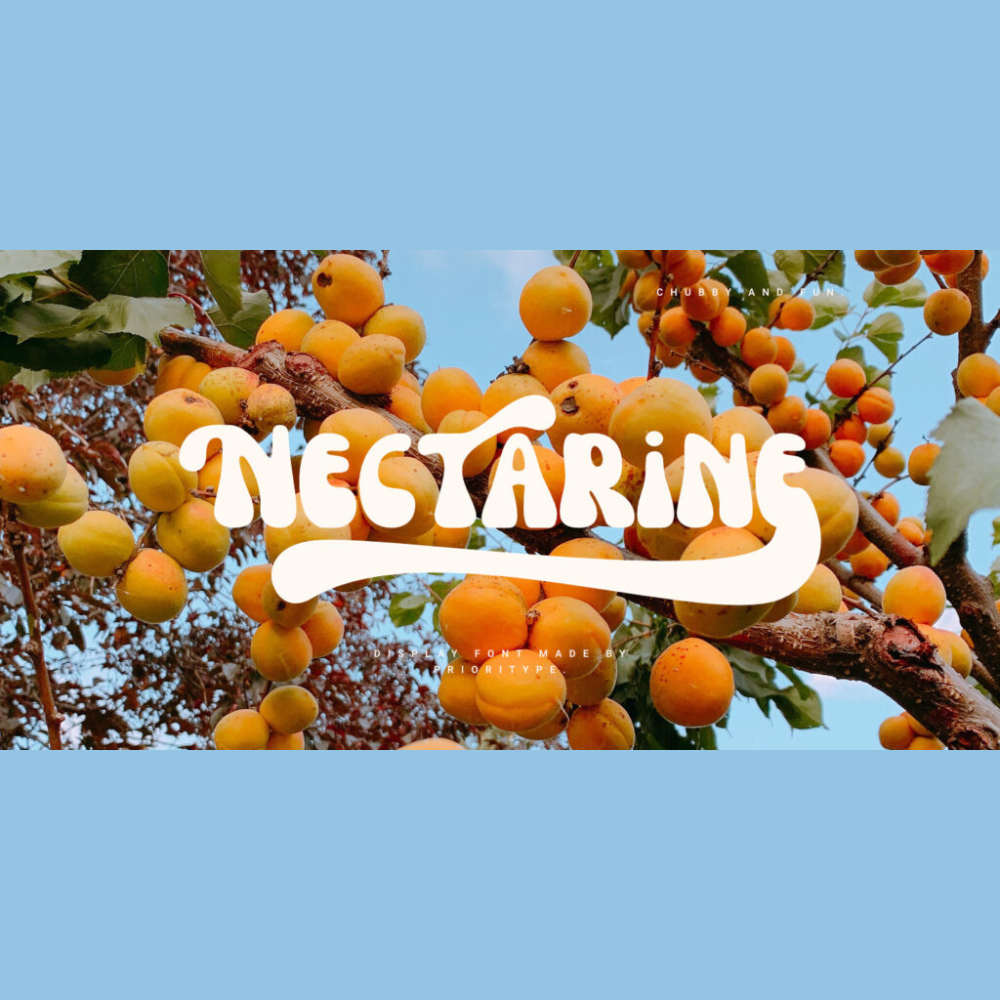 35+ Best Vintage Fonts For Your Logo And Branding (Free Download ...