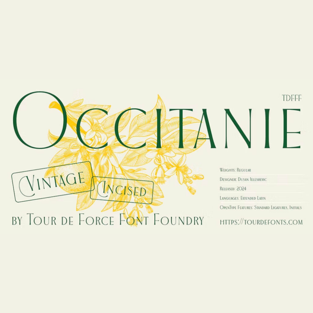 35+ Best Serif Fonts For Your Logo And Branding - BrandBoy