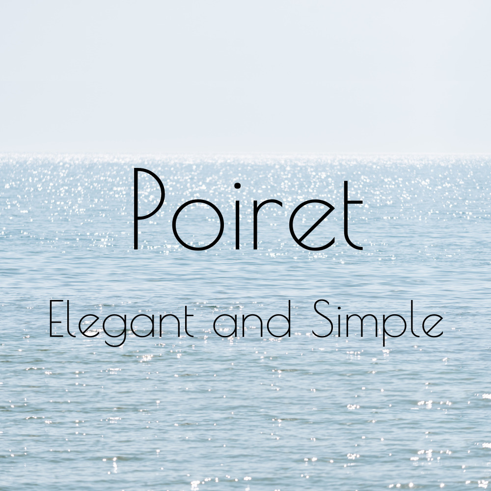 55+ Best Minimalist Fonts For Your Logo And Branding - BrandBoy