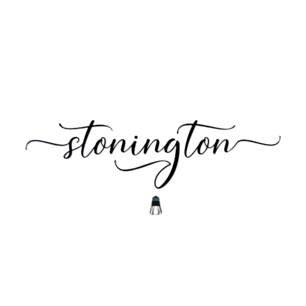 35+ Best Cursive Fonts For Your Logo and Branding