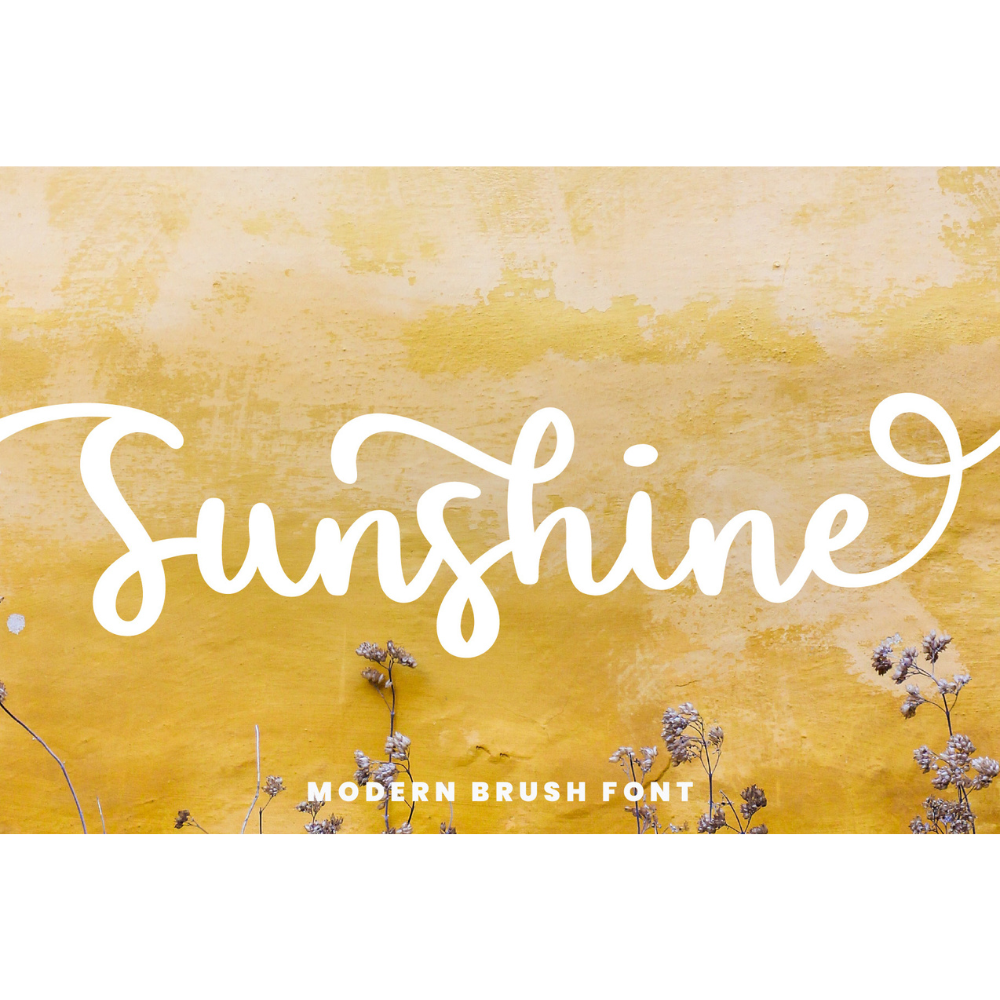 45+ Top Modern Fonts For Your Logo And Branding In 2024 - BrandBoy