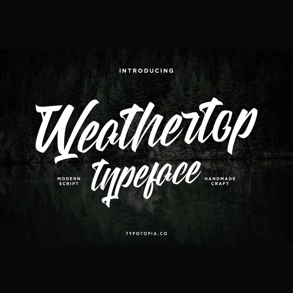 35+ Best Cursive Fonts For Your Logo and Branding