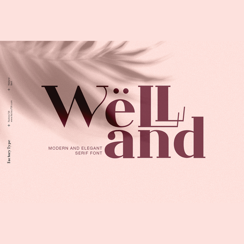 45+ Top Modern Fonts For Your Logo And Branding In 2024 - BrandBoy