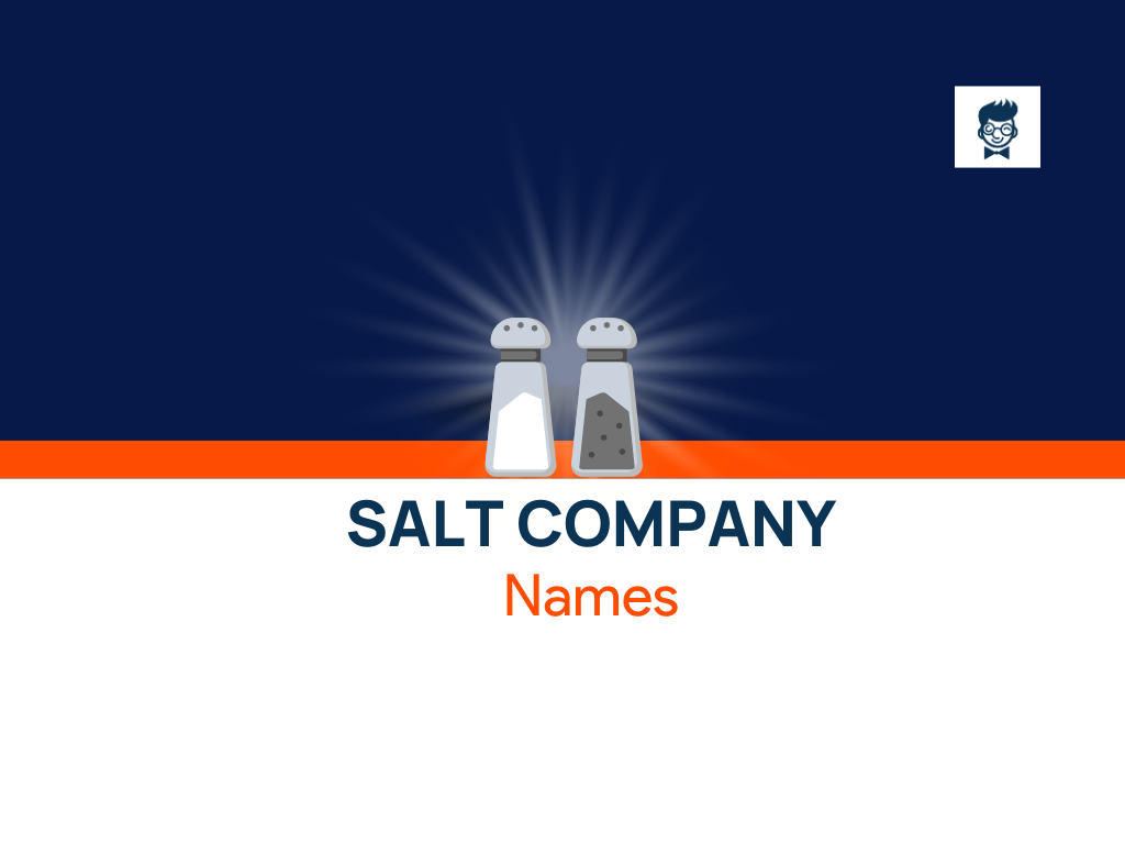 987+ Salt Company Name Ideas & Domains!