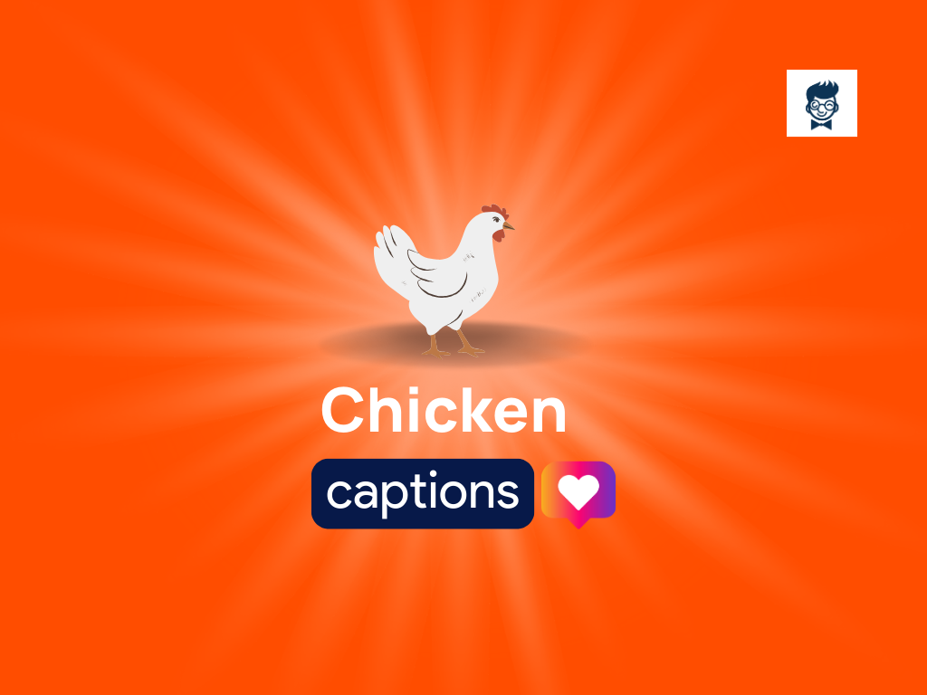 580+ Catchy Chicken Captions for Instagram - BrandBoy